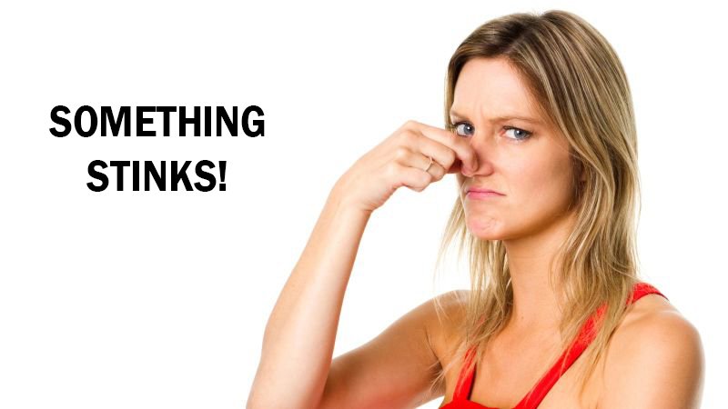 Something Stinks: Fall Furnace Maintenance, Strange Odors and No Heat ...